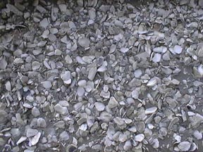 April 8th - Making Progress